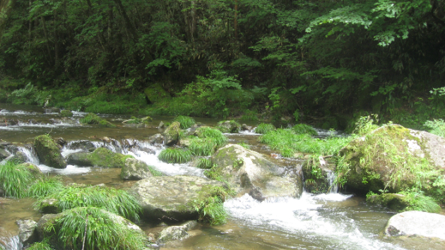 初相談、無事に終わりました。｜x アツシ x｜coconalaブログ